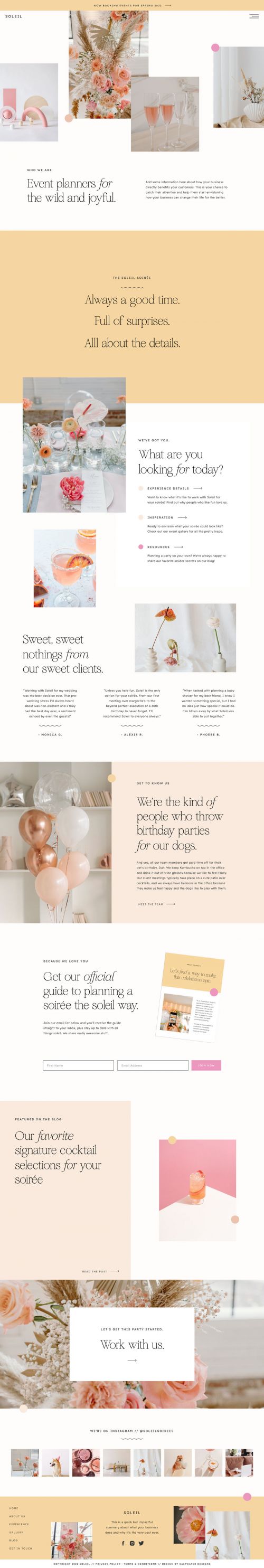 Designer - Showit Design Market